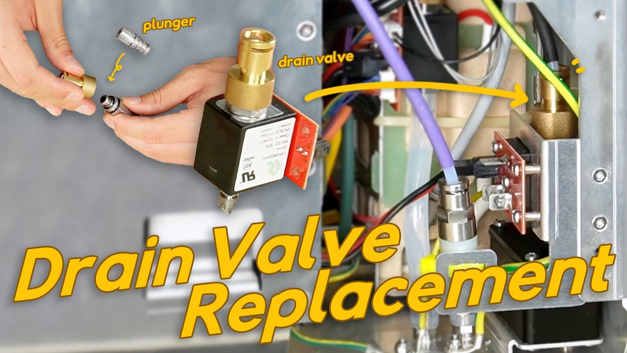 How to Clean and Replace the Drain Valve